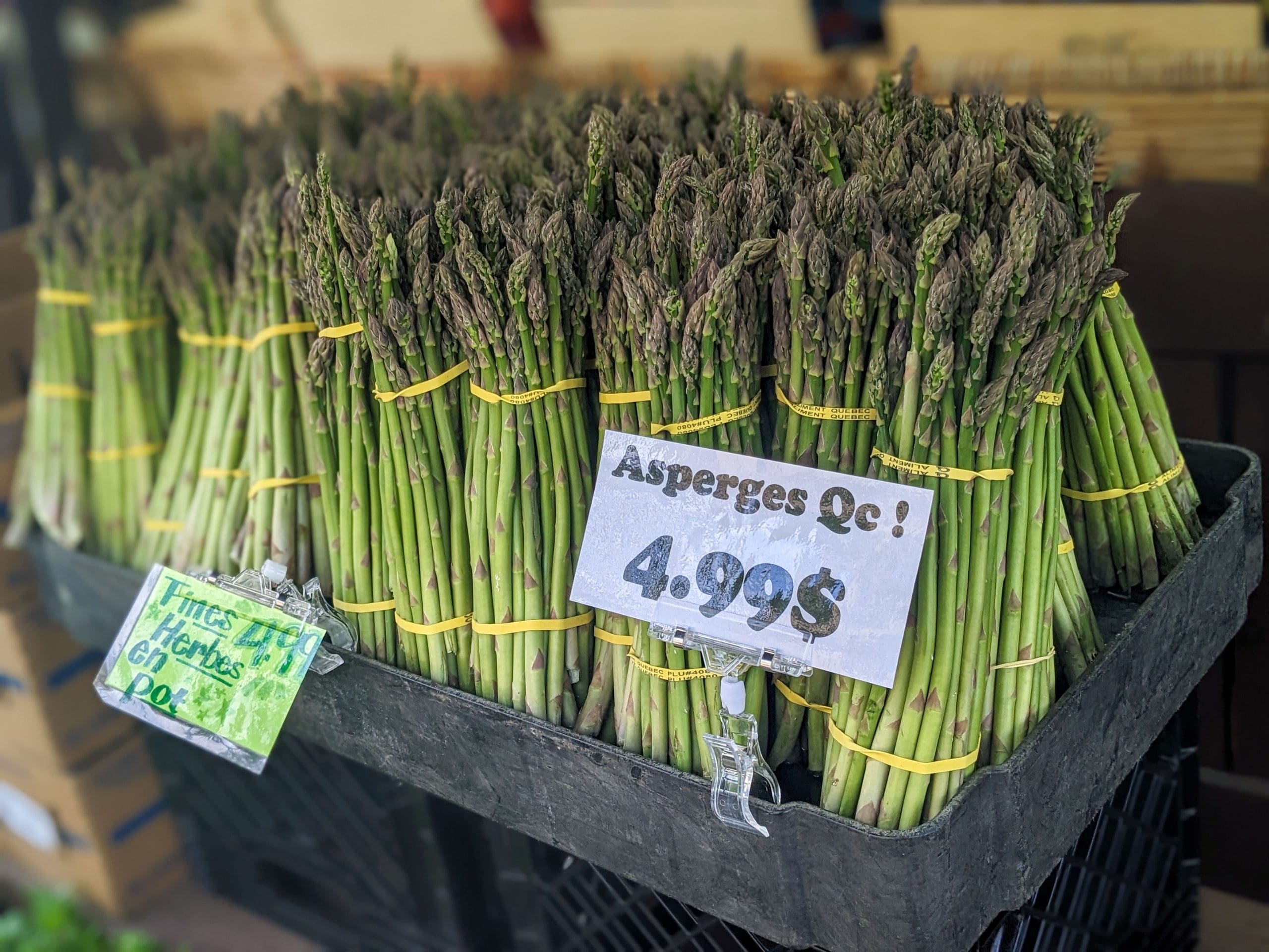 Les asperges du Québec sont en saison! | Bob le Chef